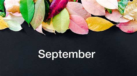September Word In Colorful Leaves Black Background Hd September