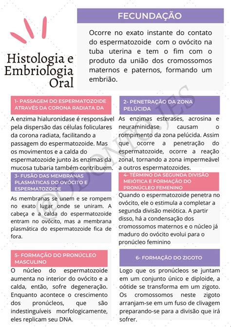 Fecundação Resumo Enzimas Anatomía Uterina
