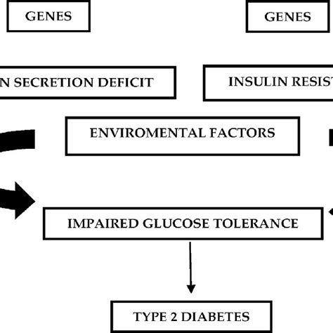Pathogenesis Of Type 2 Diabetes Download Scientific Diagram
