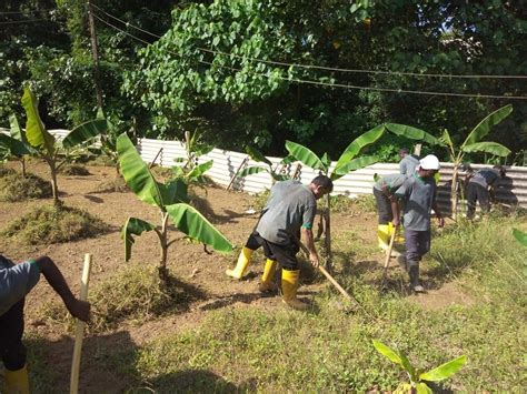 Esanda Wellala On Linkedin Battling Malnutrition With Able Contributions Cultivating Unused