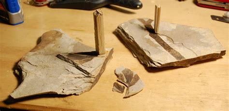 Prepping Eocene Plant Fossils Without Air Tools Fossil Preparation