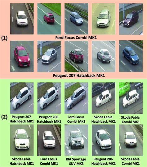 examples of illustrating the a large intra class variance and b