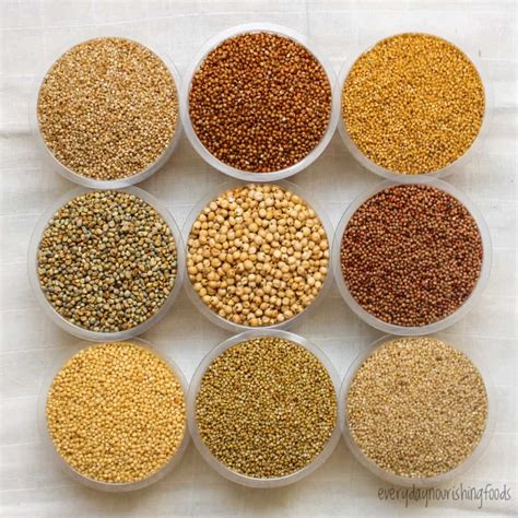 All About Millet Different Millet Types And Easy Millet Recipes The Common Ground Network