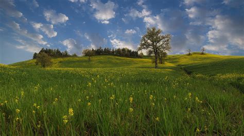 Hills Landscapes Green Field 1366x768 Wallpapers From Photomonstr