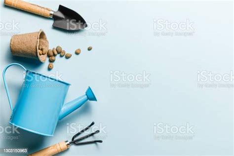 파란색 배경에 원예 도구 봄 정원 은 개념을 작동합니다 세계 환경의 날 식목일 국제 어머니의 날 맨 위 보기입니다 복사 공간