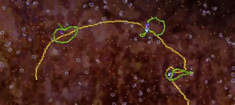 RNA Seq For The Next Generation