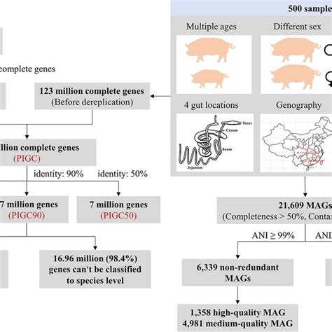 Pdf Expanded Catalog Of Microbial Genes And Metagenome Assembled