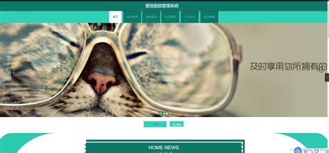【开题报告】springboot爱宠医院管理系统1gm99计算机毕业设计源码、研究背景、意义、目的、内容、方案和预期成果 宠物医院管理系统开题