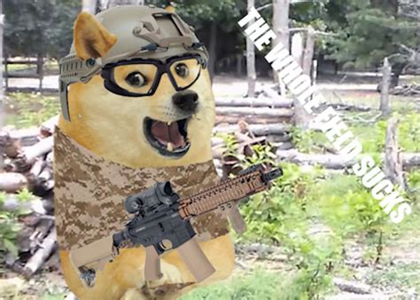 Making A Successful Airsoft Field Popular Airsoft Welcome To The