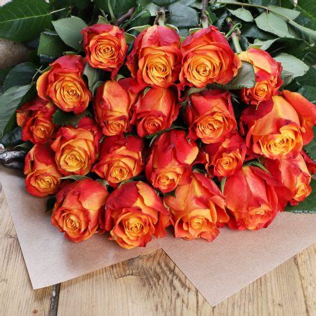 Luxury Atomic Ecuadorean Roses Make Every Day Bloom