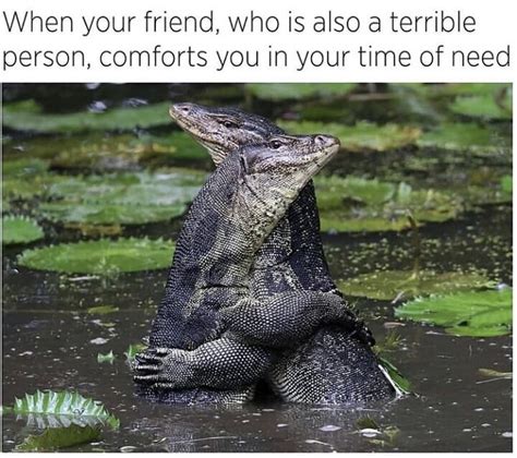 45 Dank Memes To Keep You Laughing Ebaums World