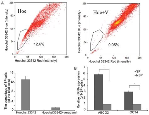 Knockdown Of Bmi1 Inhibits The Stemness Properties And Tumorigenicity