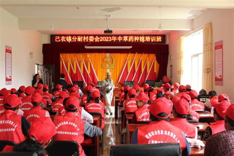 己衣镇分耐村：举办中草药种植能手培训班助力乡村振兴 武定县人民政府