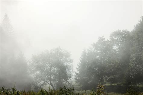 아침에 산에서 안개가 자욱한 숲을 볼 수있는 그림 같은 전망 0명에 대한 스톡 사진 및 기타 이미지 0명 가을 경관