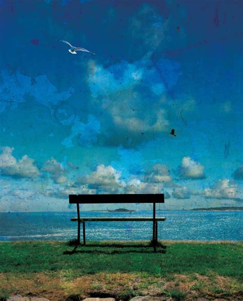 Benk Galleri Bi Z As