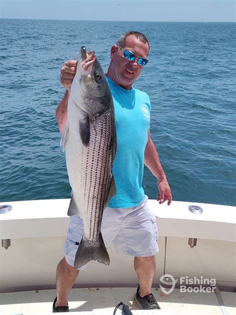 Striped Bass Bonanza Montauk Fishing Report Fishingbooker