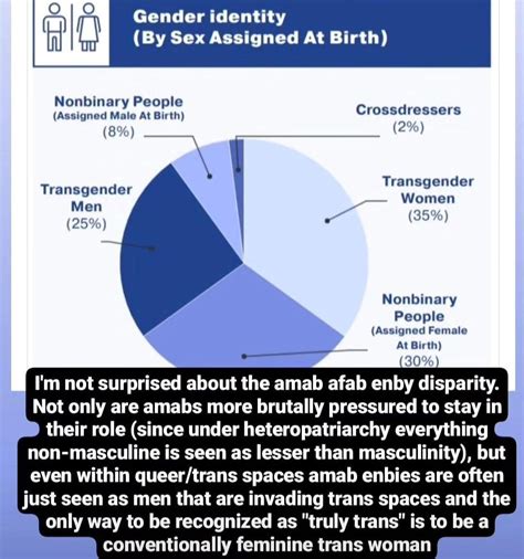 The Amab Afab Enby Disparity In The 2022 Us Trans Survey Rqueercommunism