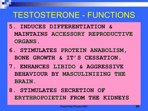 Male Reproductive Physiology Pptx