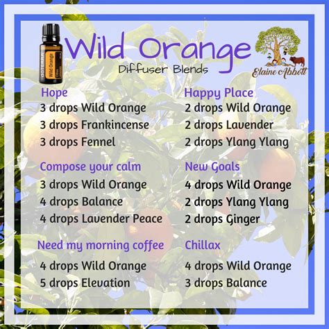 Wild Orange Diffuser Blends Diffuser Blends Essential Oil Blends