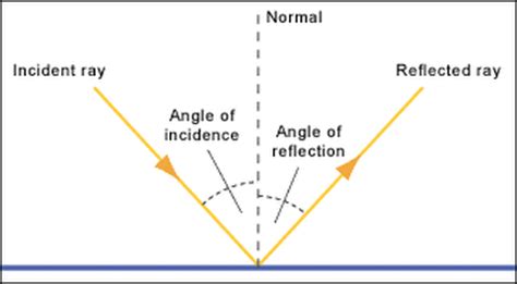 Refraction Lab Mrs Munn S Science
