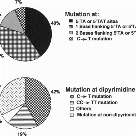 Correlation Between Frequency Of P53 Mutation And Number Of Dna Download Scientific Diagram Correlation Between Frequency Of P53 Mutation And Number Of Dna Download Scientific Diagram