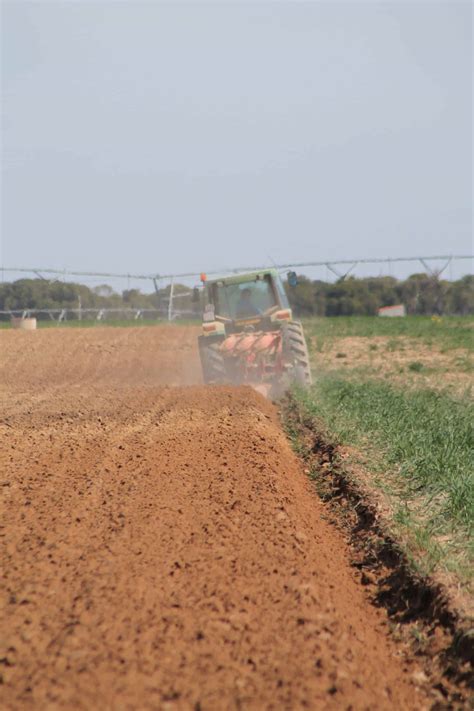 Los Cotizantes A La Seguridad Social Agraria Apenas Son El 41 De Los