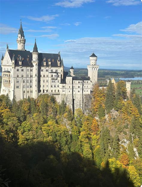 Wheres Maylee She Is Porter Avenue Pies And Cakes