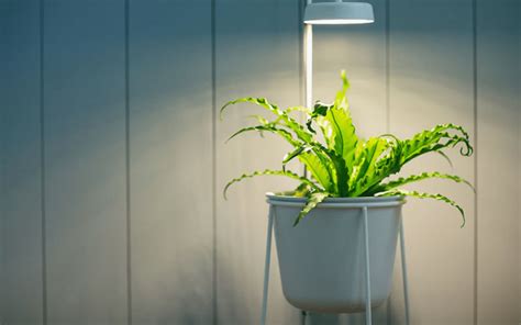 Knowledge Of Led Plant Lights Sander Electronics 三得電子