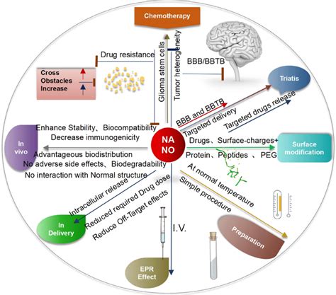 Properties Of Standard Nanoparticles Download Scientific Diagram
