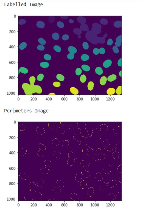 Mahotas Perimeter Of Objects In Binary Image Geeksforgeeks