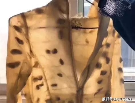 好奇闻了闻空姐的脚 结果 哈哈哈哈我差点当场去世 搜狐大视野 搜狐新闻