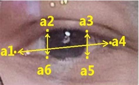 Figure 4 From A Machine Learning And Iot Based Anti Spoofing Technique