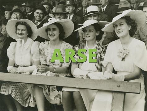 ARSE Meaning Slang Org