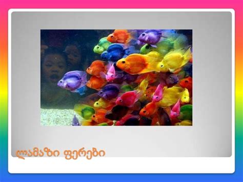 პრეზენტაცია Pptx