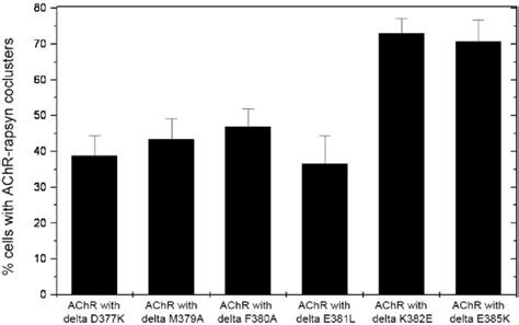 Analysis Of Achrrapsyn Co Clustering For The Mutations Dd377k Dm379a
