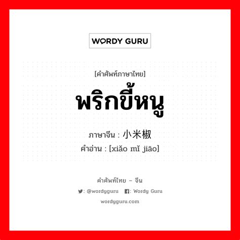 พริกขี้หนู ภาษาจีนคืออะไร Wordy Guru