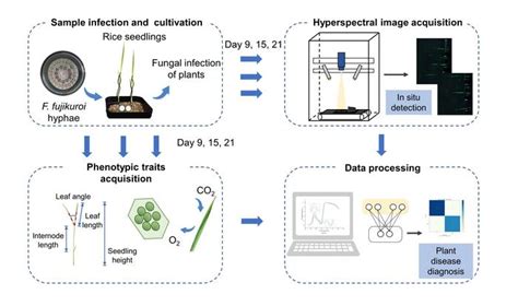 Early Non Destructive Monitori Image Eurekalert Science News Releases