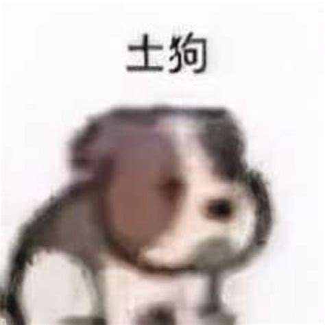 表情包：美就对了，钱算个屁 哔哩哔哩
