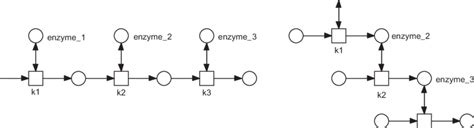 The Essential Structural Difference Between Metabolic Networks A And Download Scientific