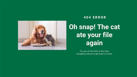 404 image