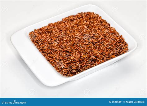 Flax Flaxseeds Stock Image Image Of Flax Flaxseeds 66266811