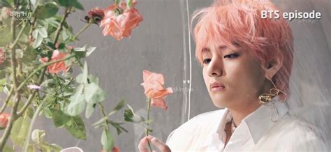 Taehyung Pink Hair Hd Picture Pink Hair Taehyung Hair