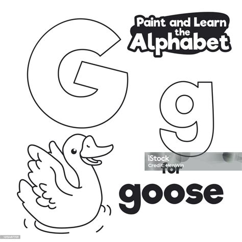 편지 G와 거위와 함께 그것을 색칠하는 교훈 알파벳 대문자에 대한 스톡 벡터 아트 및 기타 이미지 대문자 알파벳 알파벳