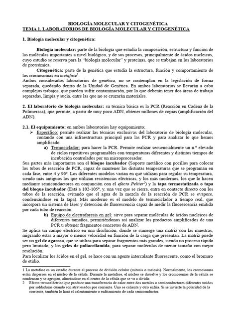 Biología Molecular Y Citogenética Descargar Gratis Pdf Rna