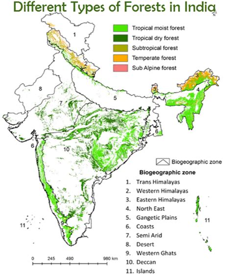 Different Types Of Forests In India Types Of Forests Of India