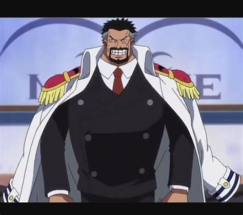 Quien Es El Mejor Usuario Del Haki De Observacion One Piece Amino