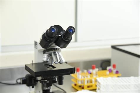 Forensic Science Bullet Comparison Under Microscope Photos Download