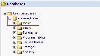 Tworzenie Nowej Tabeli W Bazie Danych MSSQL Pomoc Home Pl