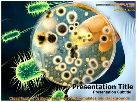 Classification Of Bacteria Pptx Biological Sciences Science