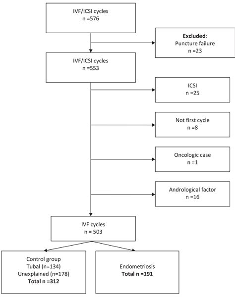 Patient Inclusion Flowchart For Ivf Cycles Download Scientific Diagram